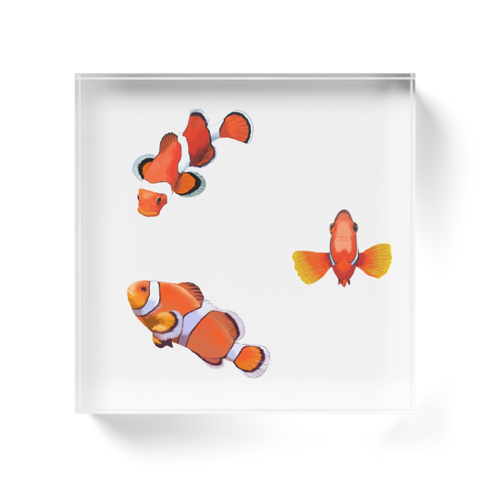 クマノミ-03アクリル - アトリエパンプキン - BOOTH