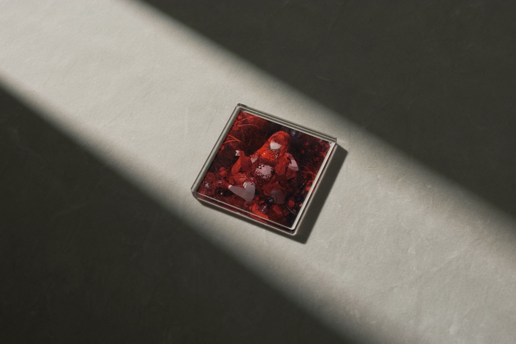 アクリルマグネットセット -red- （redveil / #8c1e1d / surface） - SSS by applibot - BOOTH