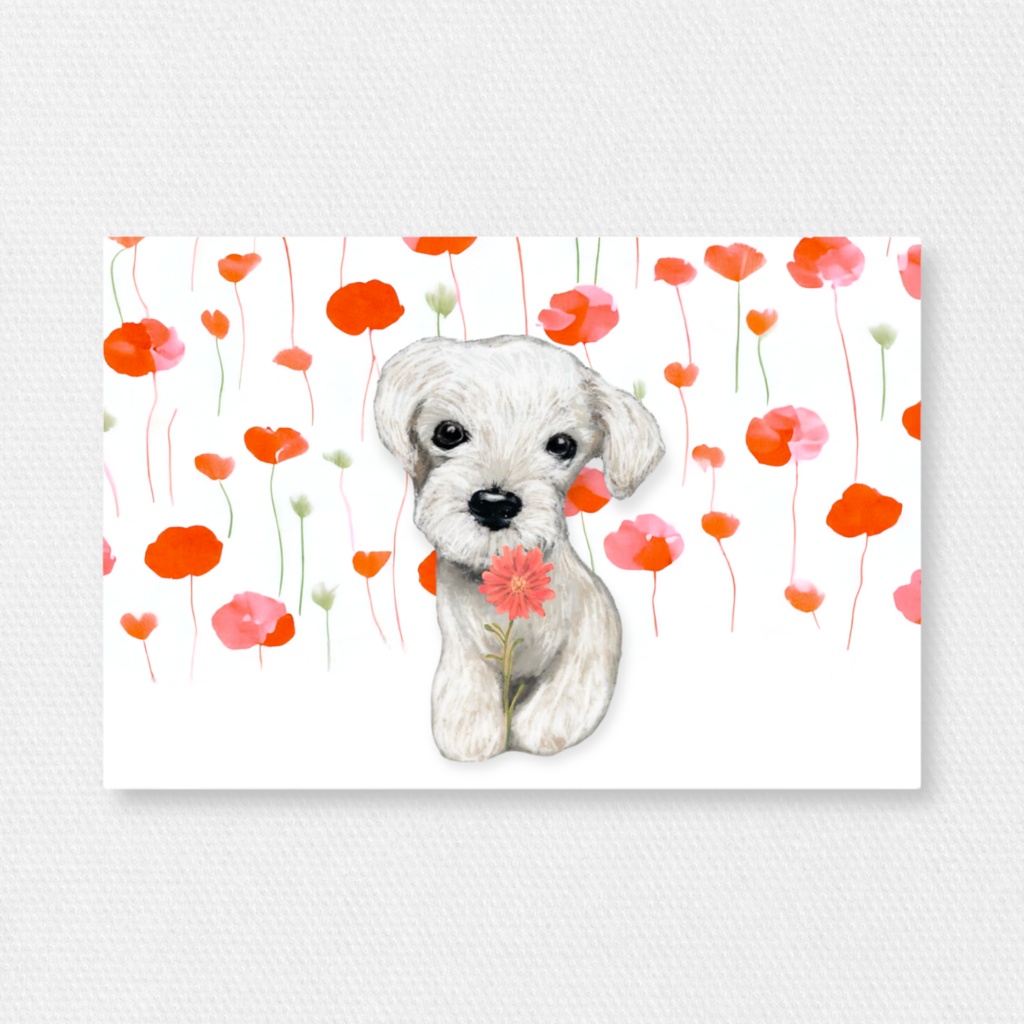 ポストカードセット（7枚セット） - hiish - BOOTH