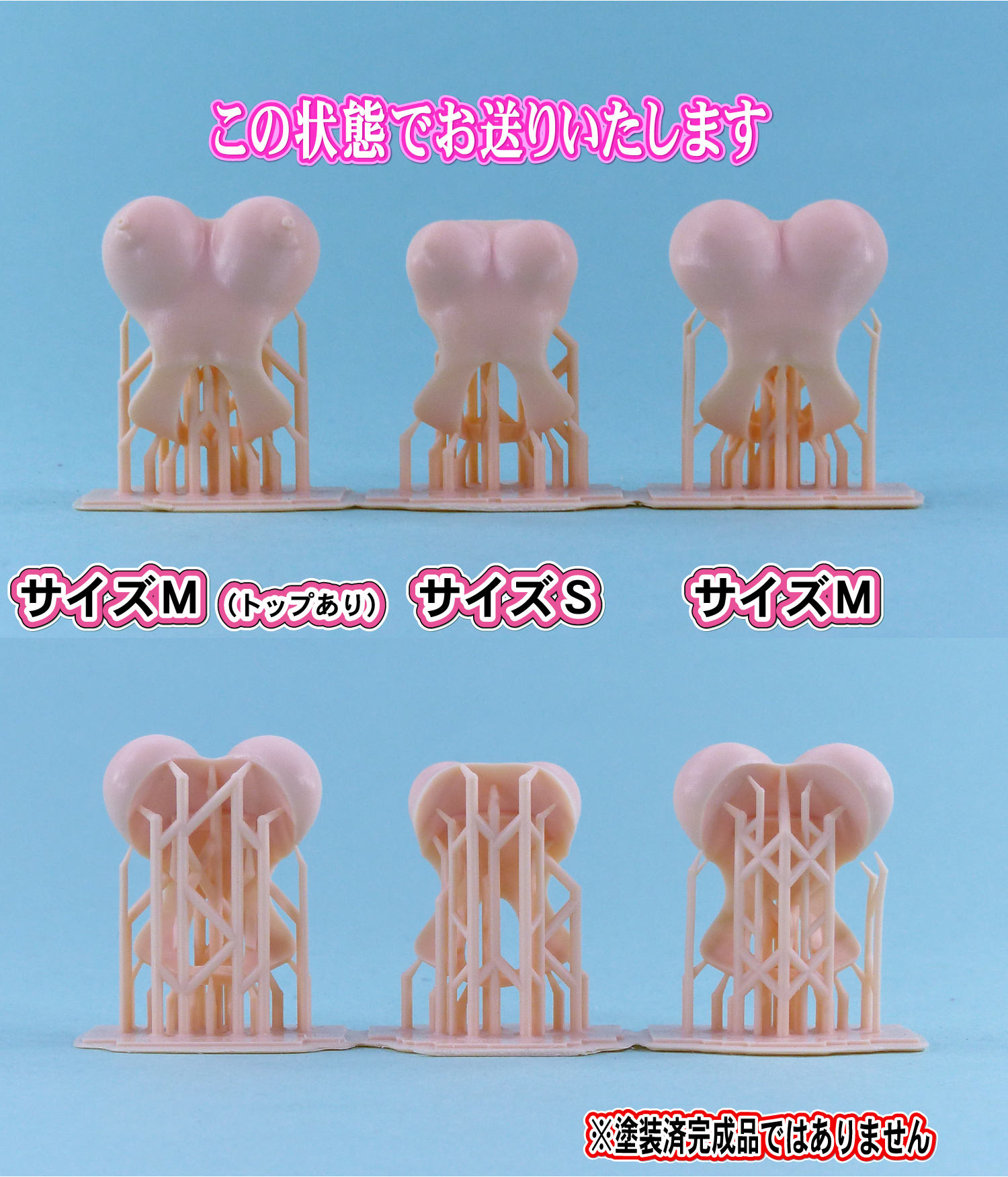 Block2用 バストセット01 (Block2S/M共用) - PとQの部屋 - BOOTH