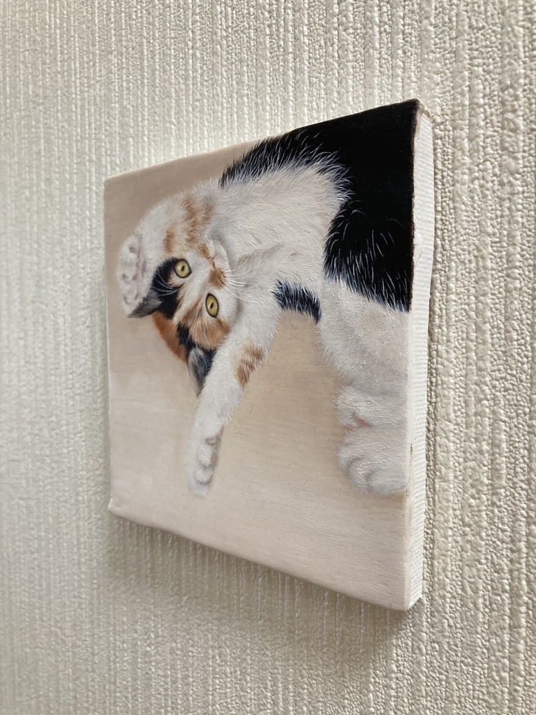 cat 008 - phantom of blue - BOOTH