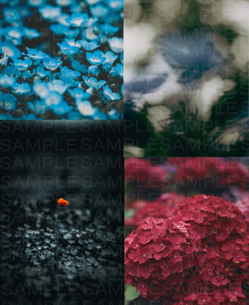 暗い花/写真素材【TRPGなどに】 - pop - BOOTH