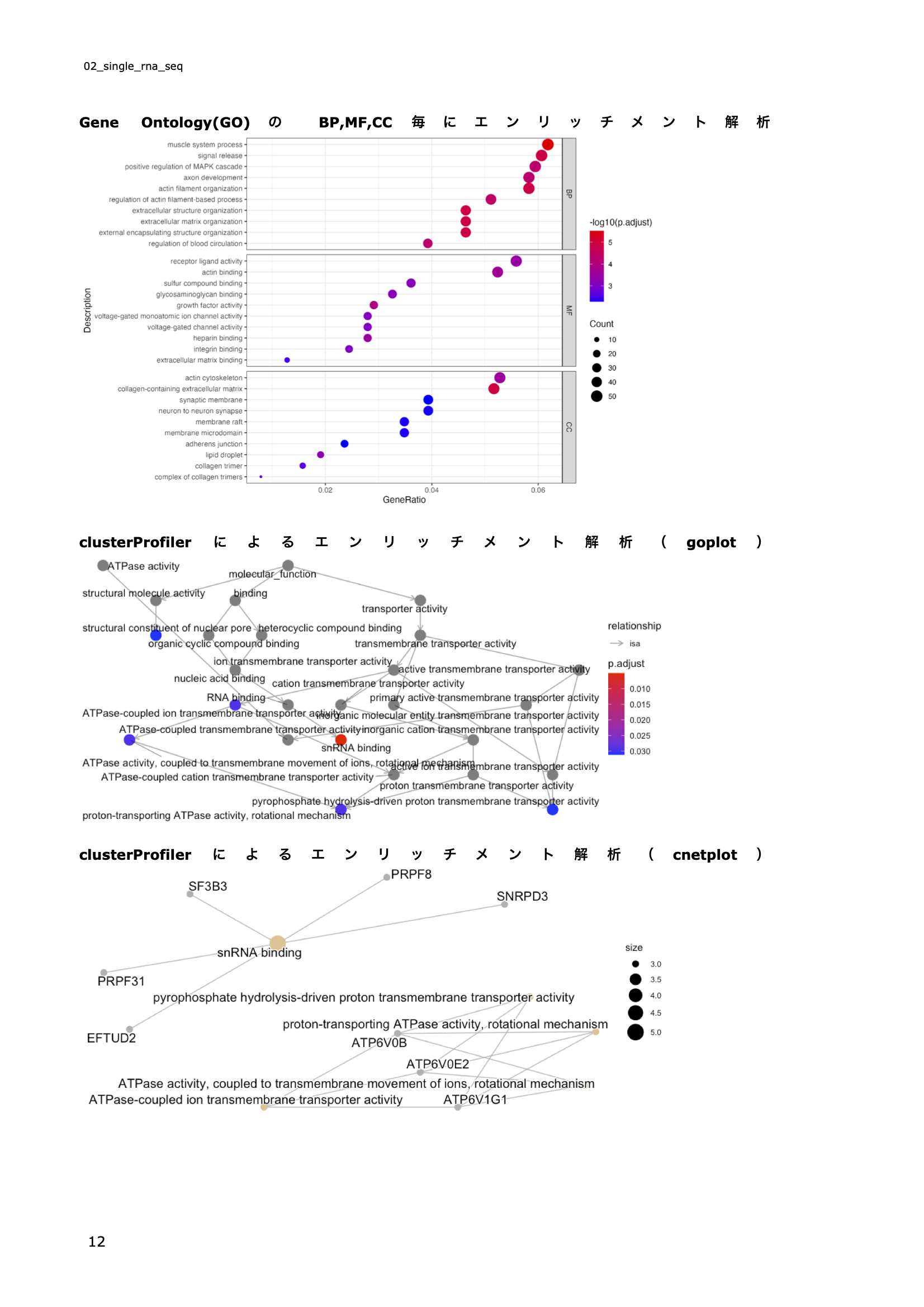 【初心者向け】公共データを用いたSingle Cell RNA-seq解析 ~Rで始めるSingle Cell RNA-seq解析~ - LabCode Booth STORE - BOOTH