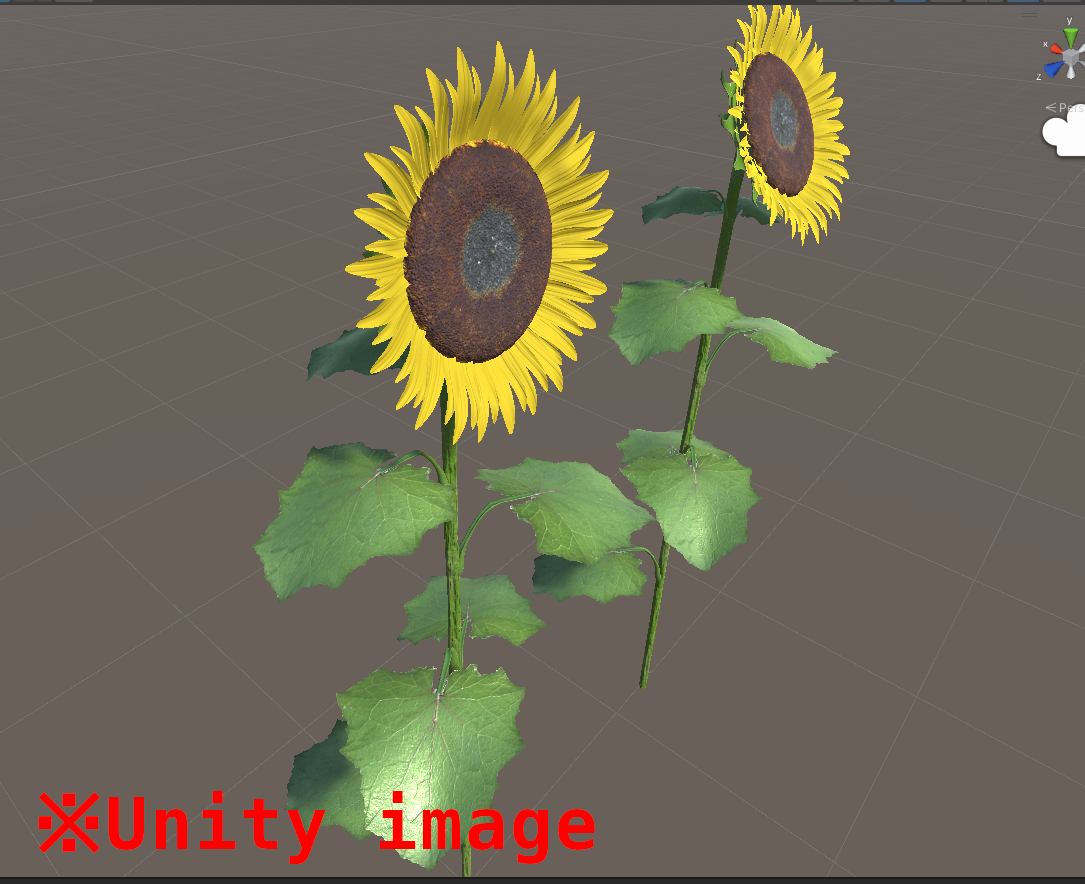 3DCG【sunflower】ひまわり - hiromu-3dcg - BOOTH