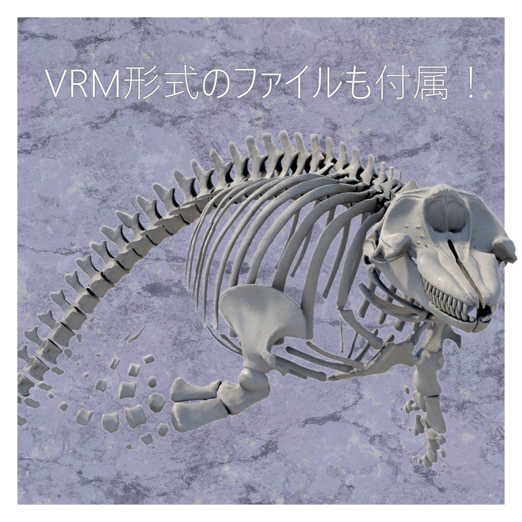 VRChat想定3Dモデル『シャチの骨格-Orca Bone-』 - 冬虫技術研究所 - BOOTH