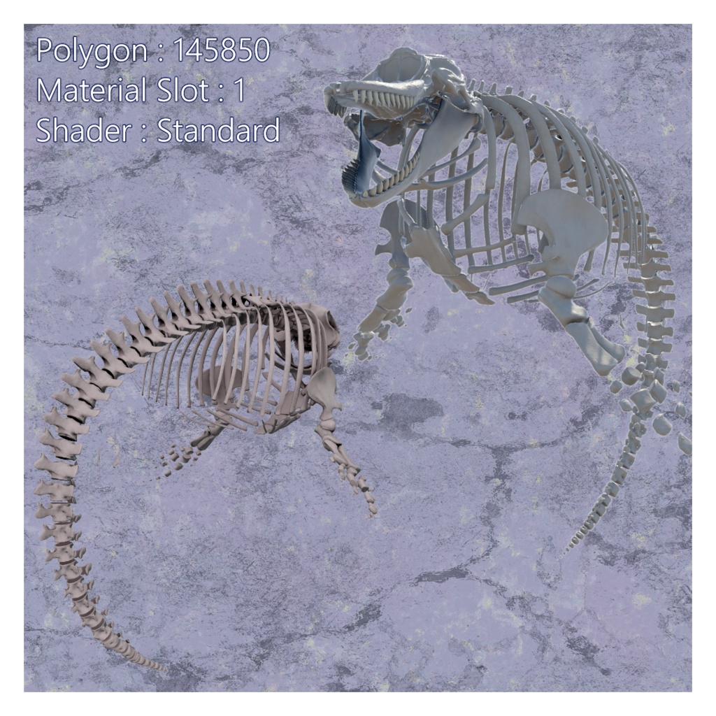 VRChat想定3Dモデル『シャチの骨格-Orca Bone-』 - 冬虫技術研究所 - BOOTH