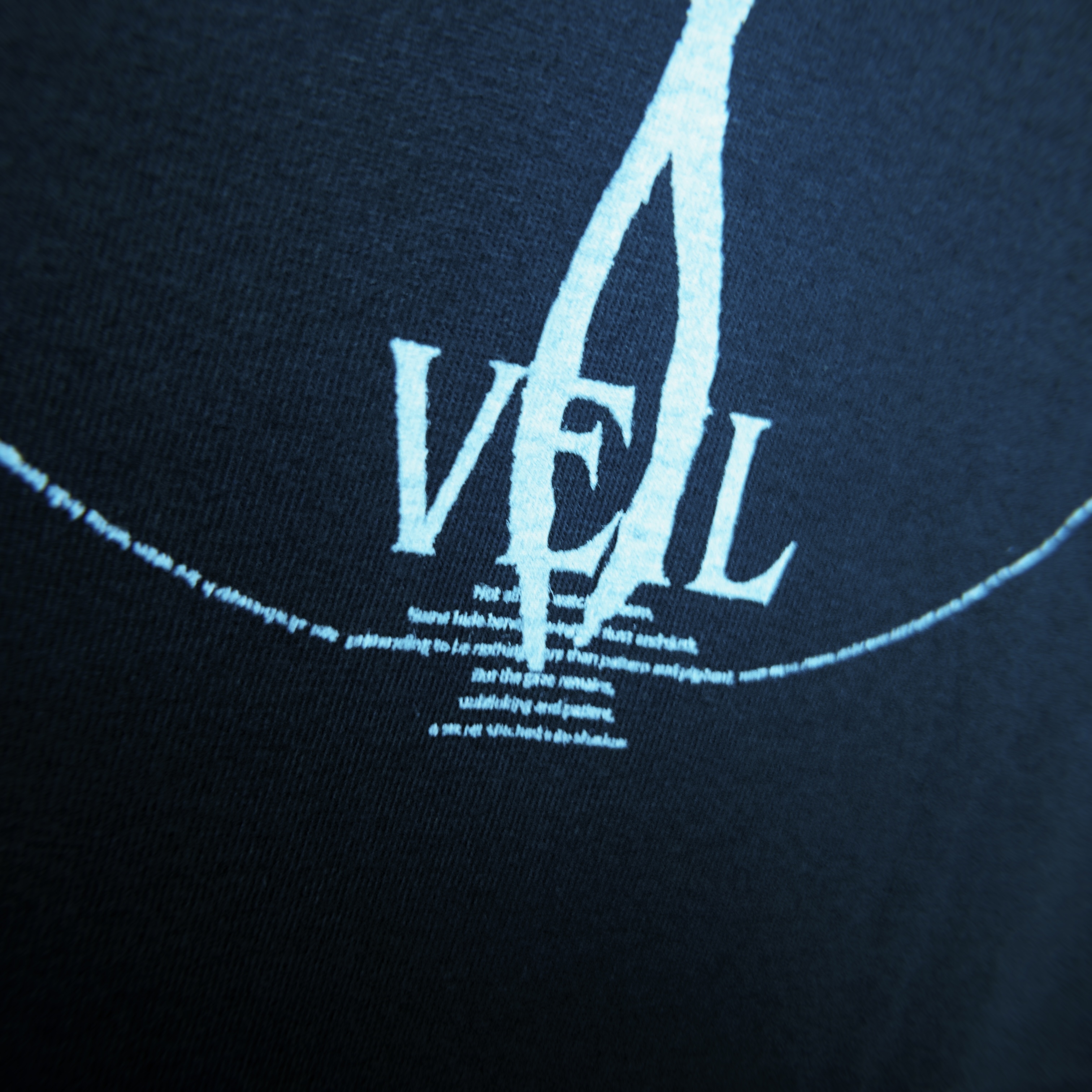 VEIL SILK SCREEN PRINT T SHIRTS L - SDN(BOOTH) - BOOTH