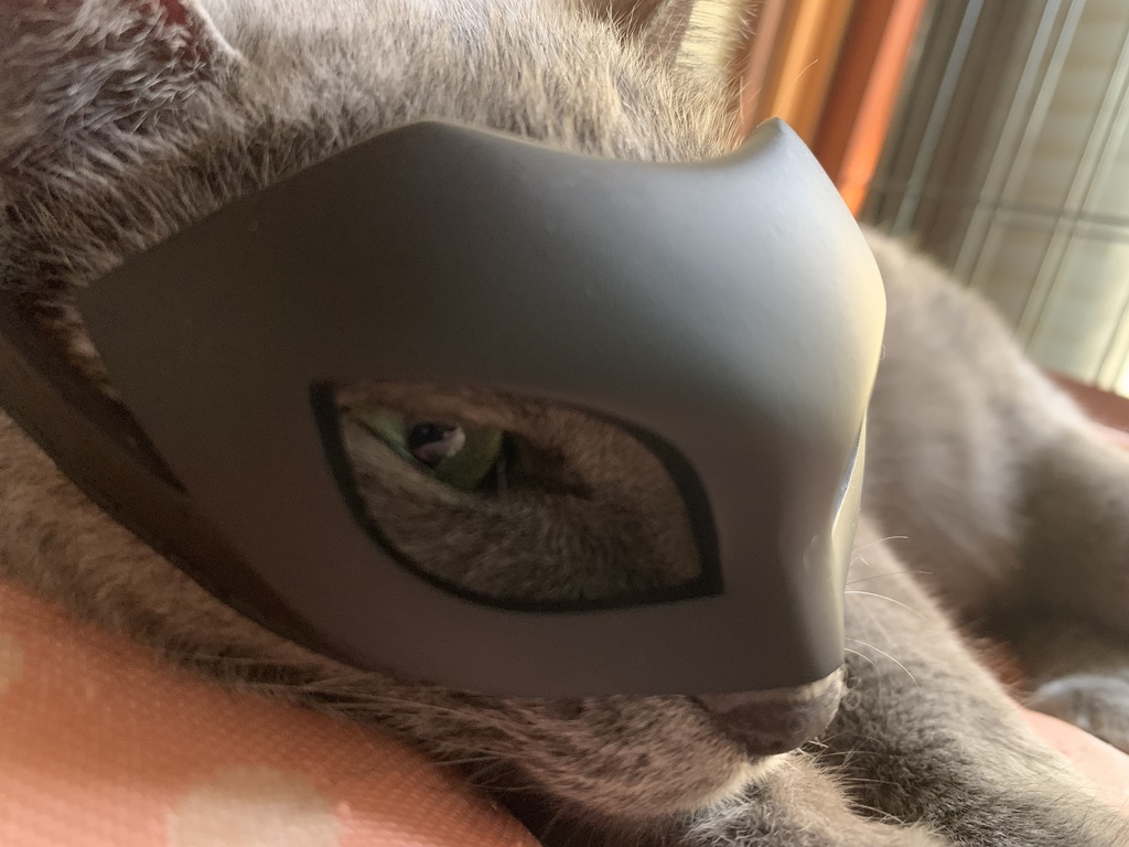 ニャスカレードマスク - AXEL CREATE - BOOTH