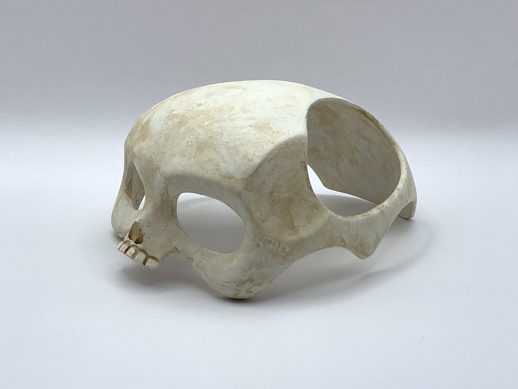 スカルメット - AXEL CREATE - BOOTH