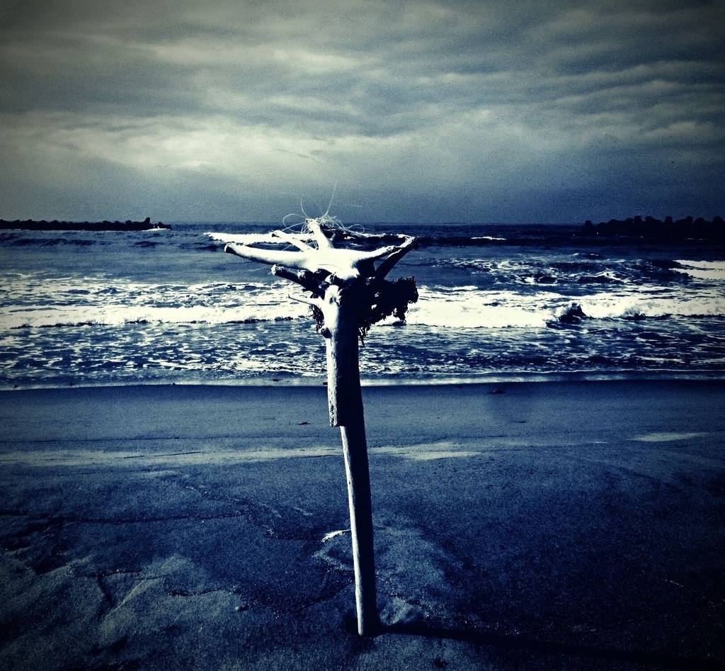 写真集「01-30」 - tea-tea - BOOTH