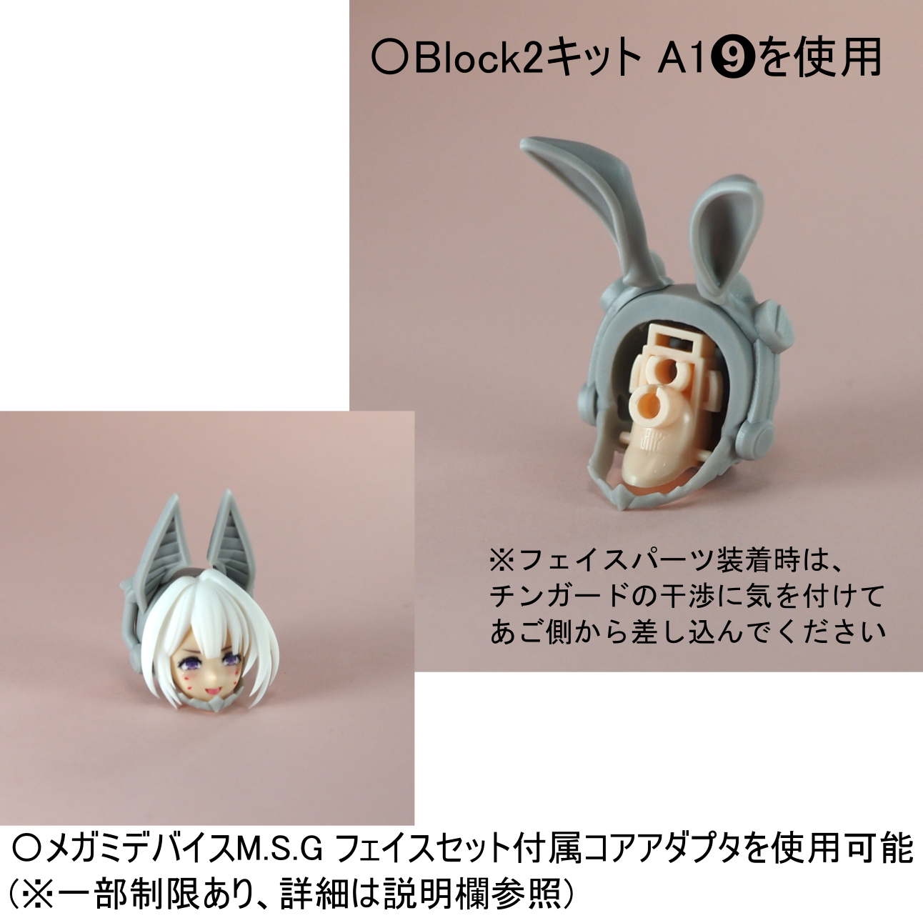 PlumGear:01 "AGITO" 【Block2、B1Rシリーズ対応】 - うめスタ - BOOTH