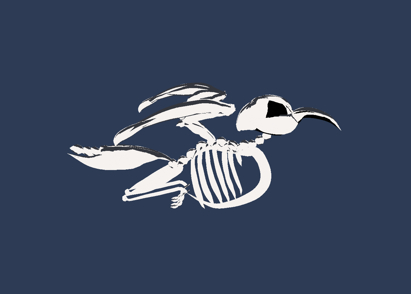 【VRoid/無料】正式版 動物の骨 第一弾 鳥 VRM - アンブラ＆ルーメン{Umbra＆lm} - BOOTH