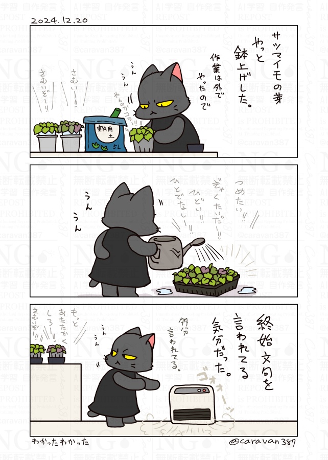 【5mm】私道387号 2024.11.22～12.31 - caravan - BOOTH