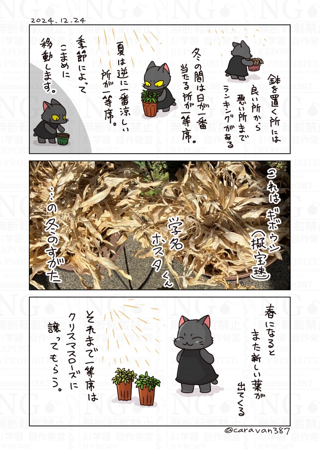 【5mm】私道387号 2024.11.22～12.31 - caravan - BOOTH