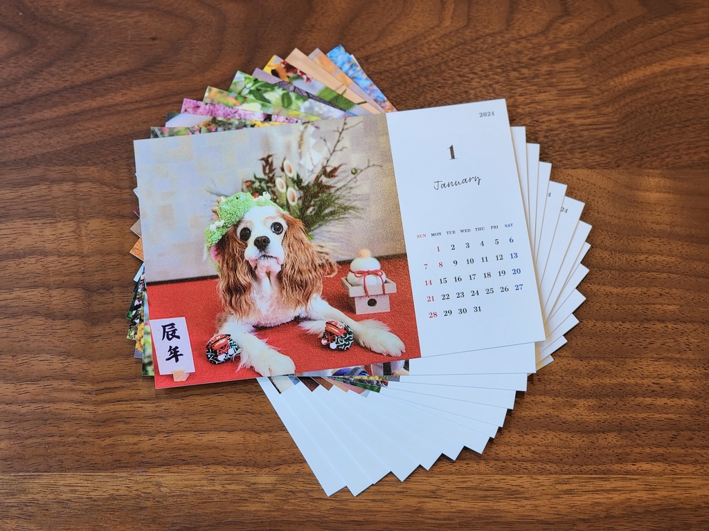 【特典付き！】こむぎさんカレンダー2024 - TAKE FRESH - BOOTH