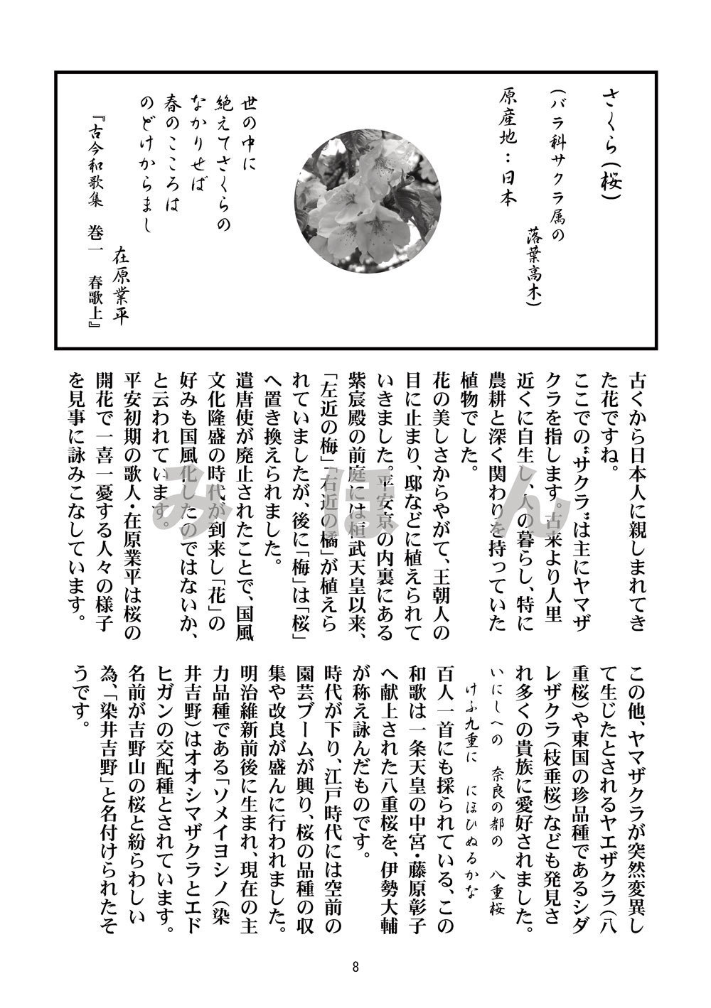 花逍遥～古典を彩る植物たち～ - maruyubesi - BOOTH