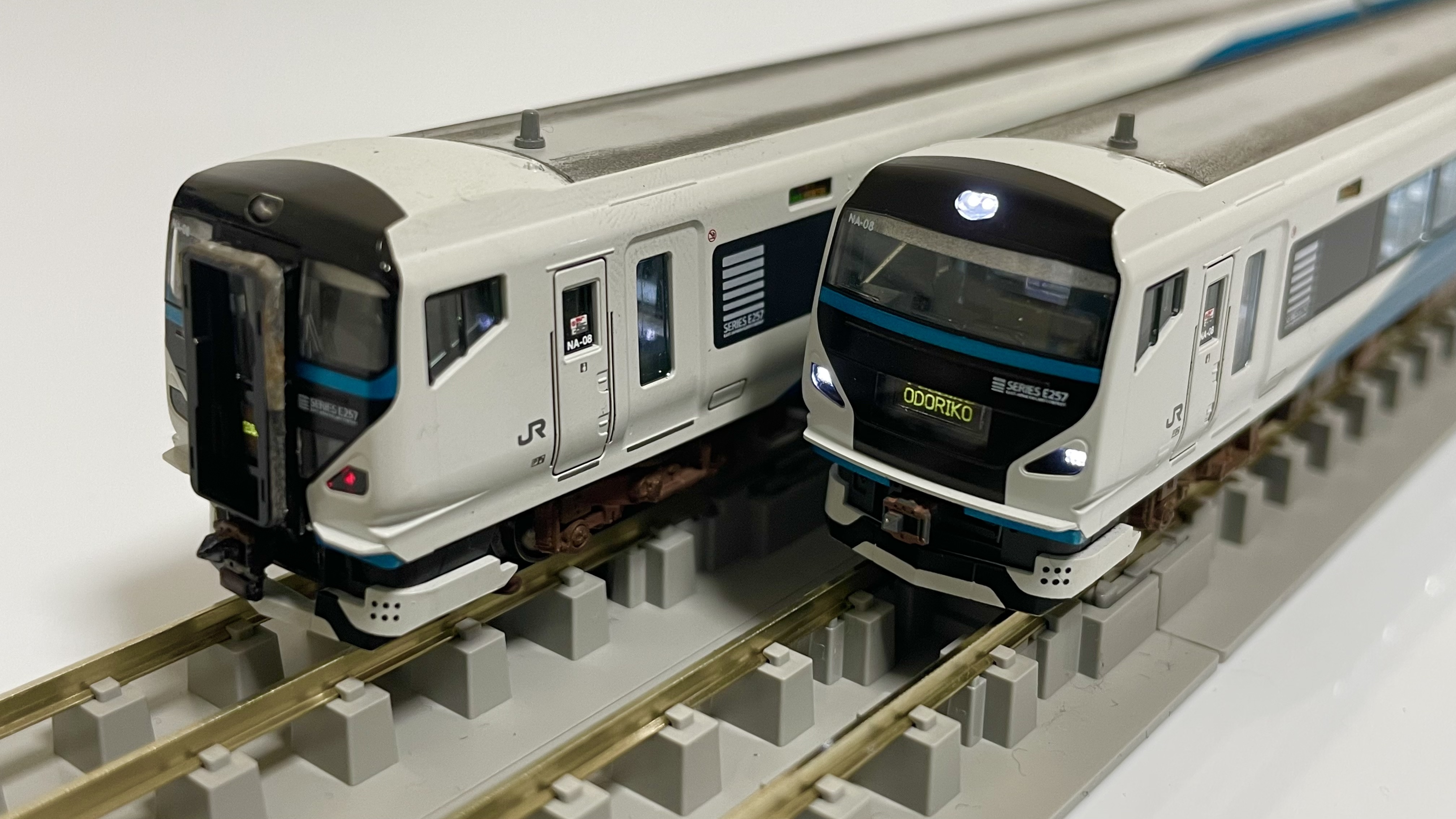 E257-2000用内装再現ステッカー(9両分Nスケール)【送料無料】 - shikuraise - BOOTH