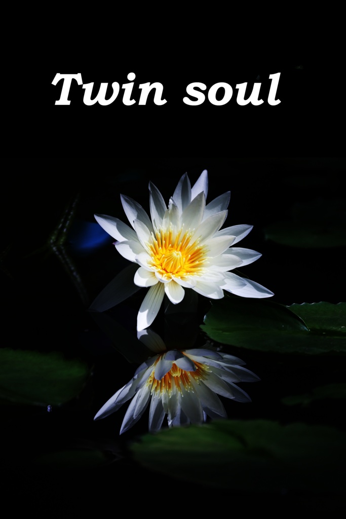 Twin soul - 桜の丘 - BOOTH