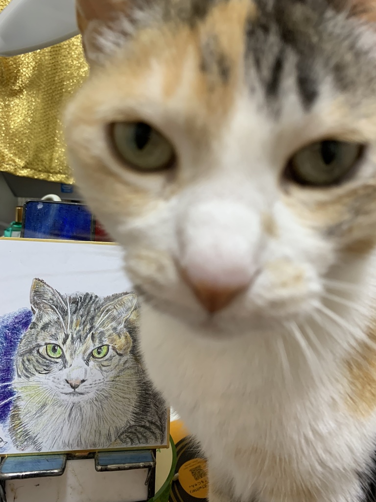 風で🌸が、ねこのえ 670 - どうだいねこのえ屋さん - BOOTH