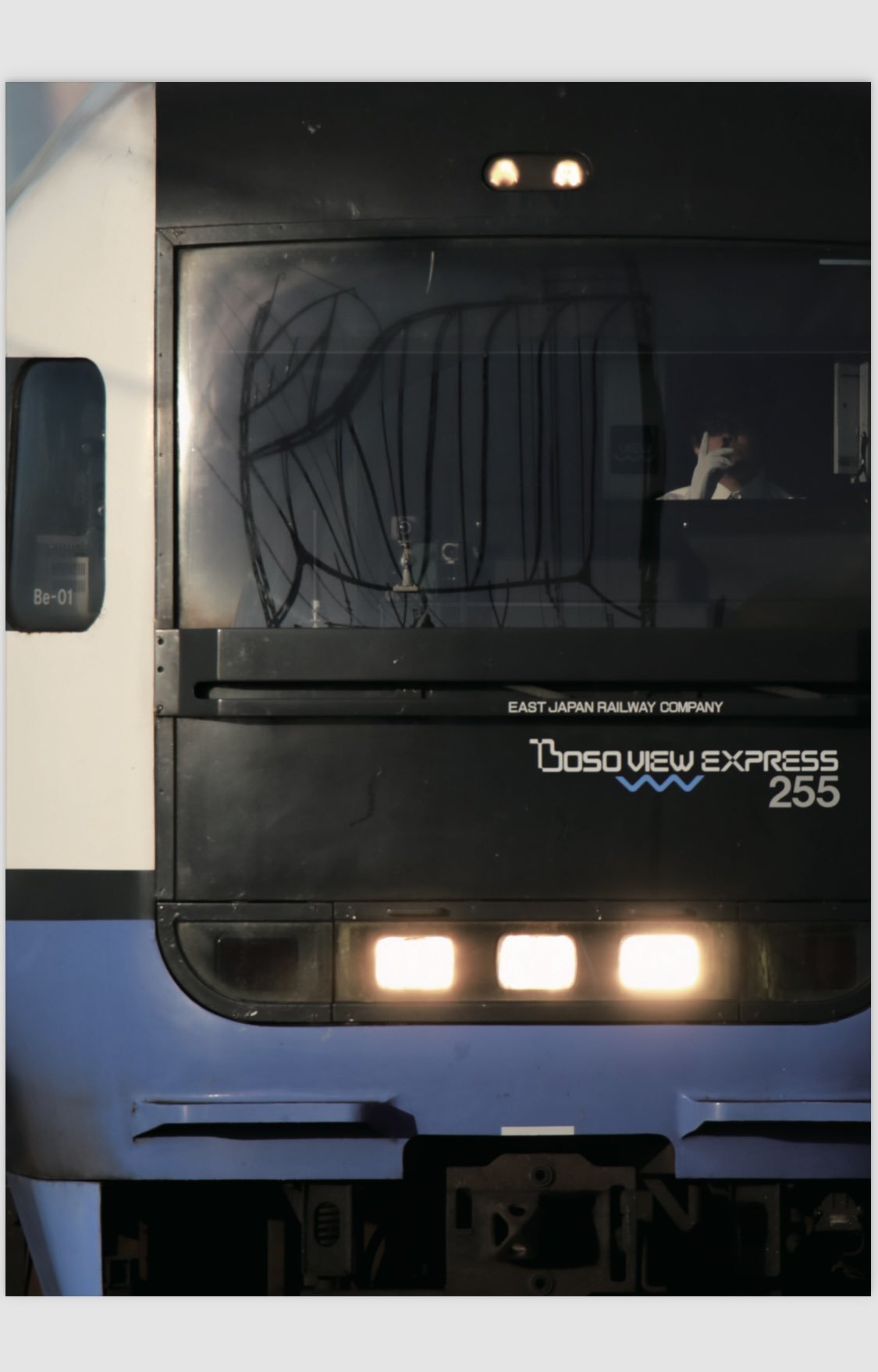 【C104新刊】BOSO VIEW EXPRESS 255(255系写真集) - mrayn9375m - BOOTH