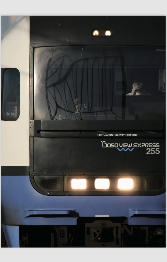 【C104新刊】BOSO VIEW EXPRESS 255(255系写真集) - mrayn9375m - BOOTH
