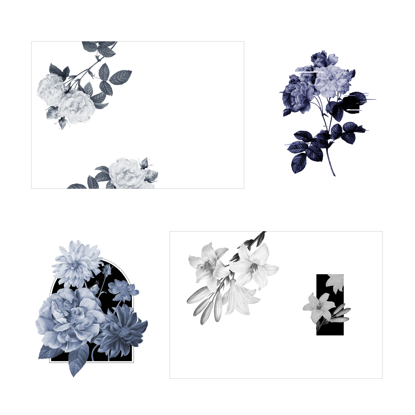 MONOCHROME—Flower— - natsuno-booth - BOOTH
