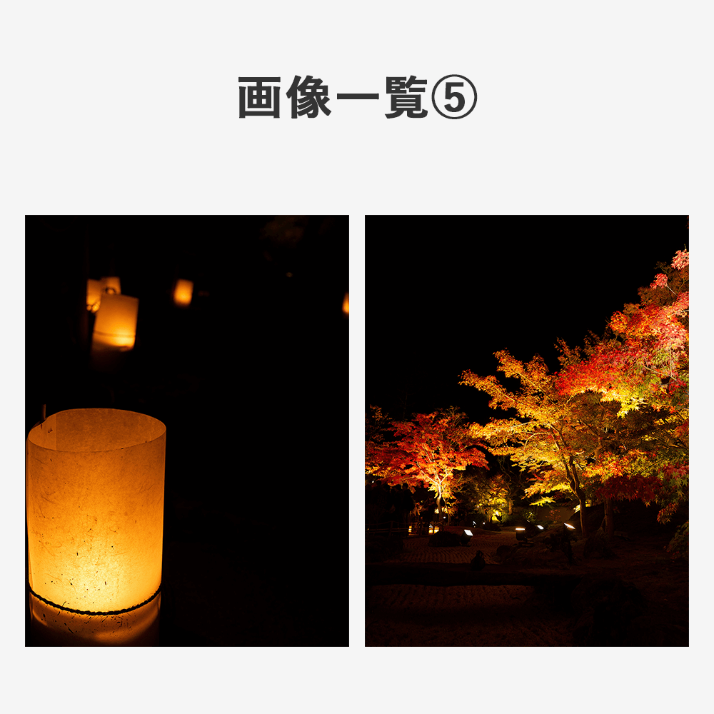 【商用利用OK】写真素材〈紅葉〉【TRPG用】 - 0910 - BOOTH