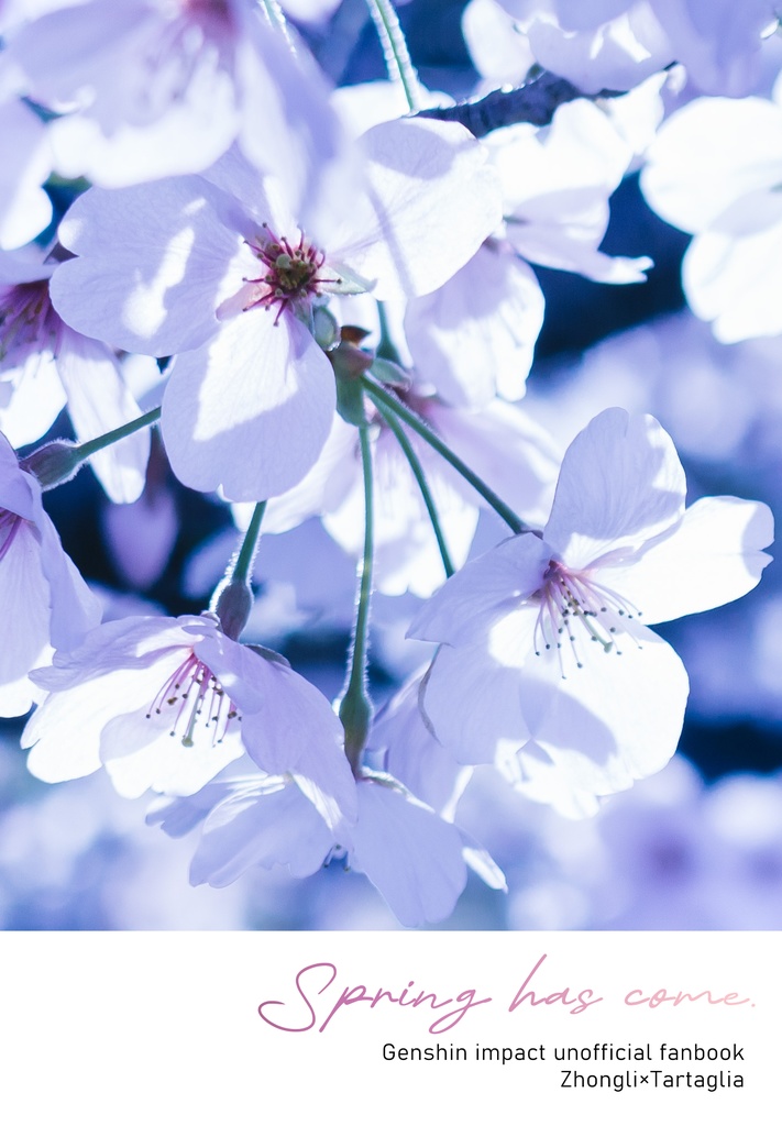 Spring has come. - Alstromeria - BOOTH