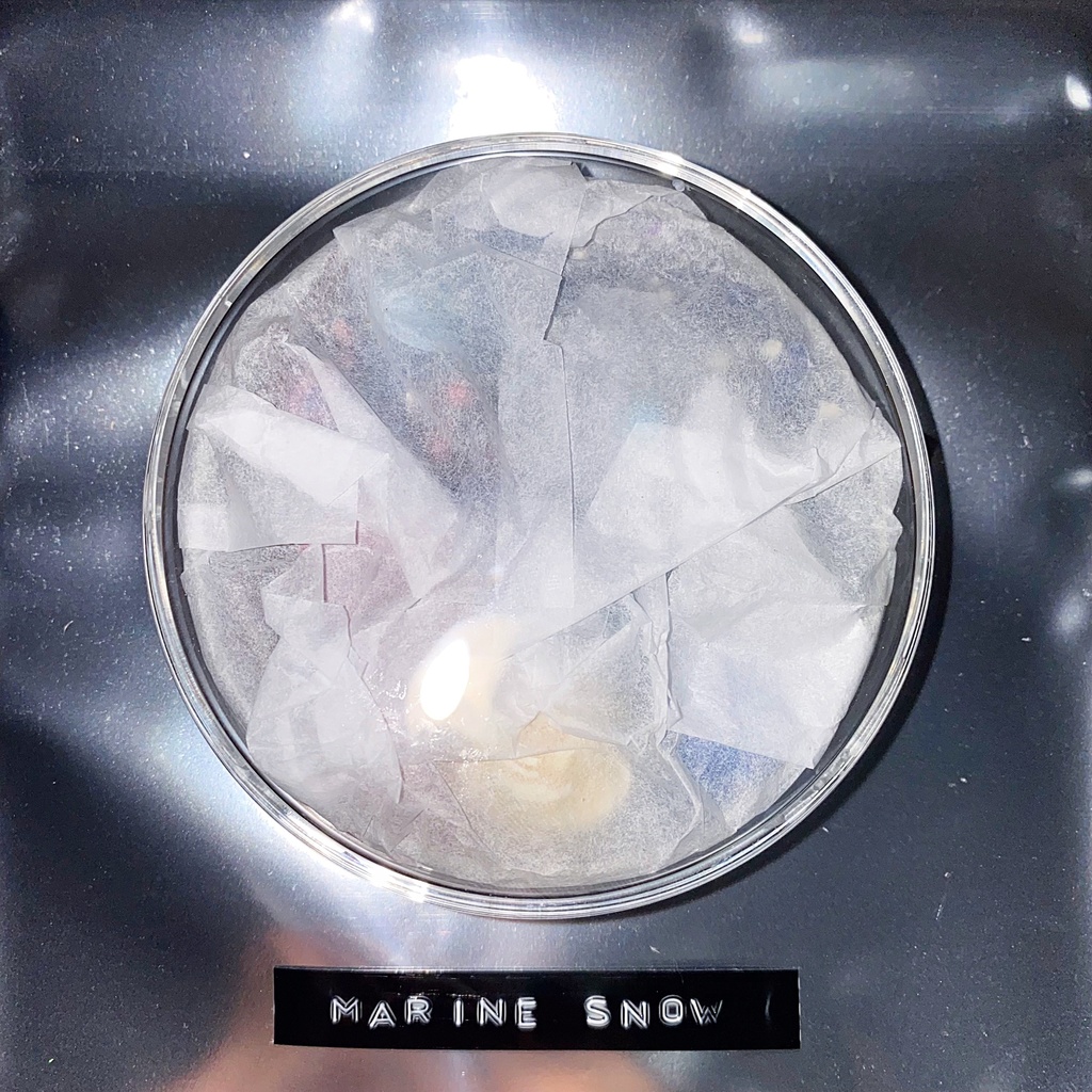 marine snow. (P) - mnm - BOOTH