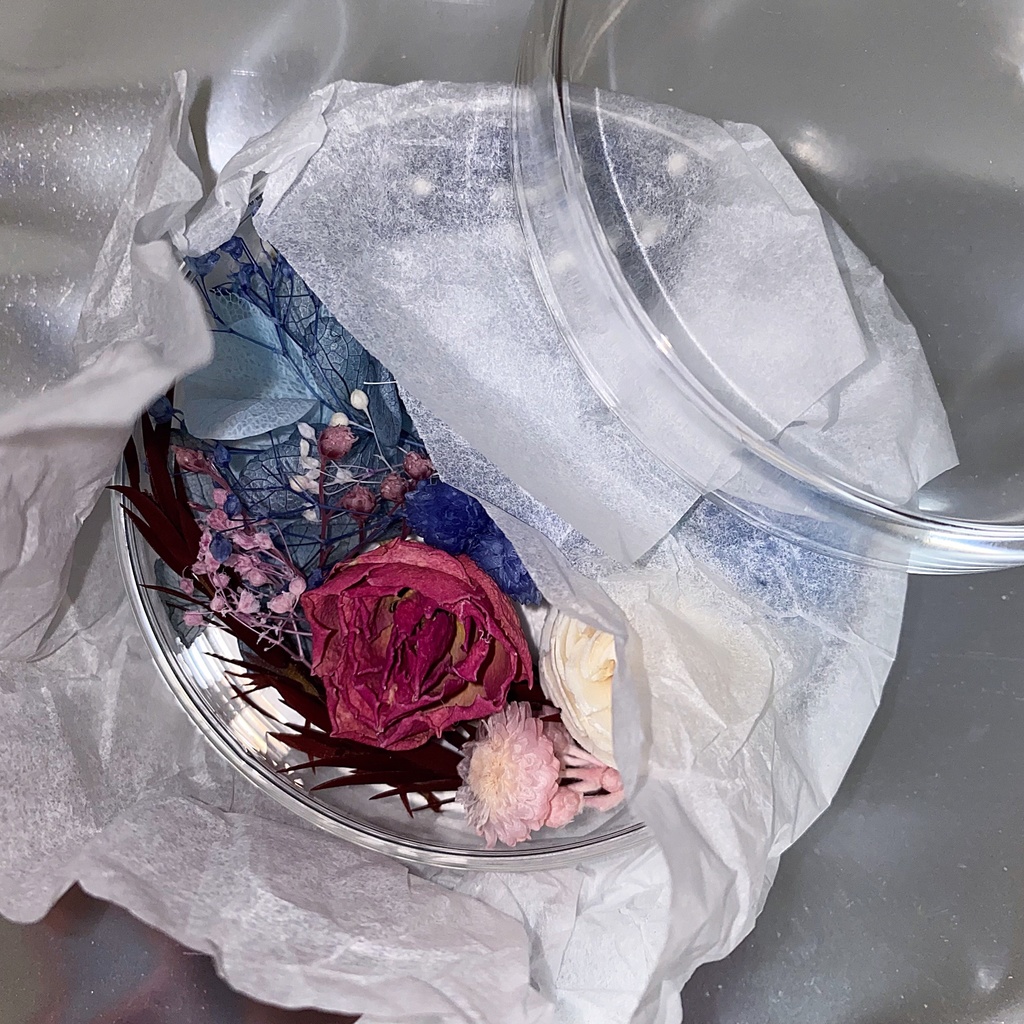 marine snow. (P) - mnm - BOOTH