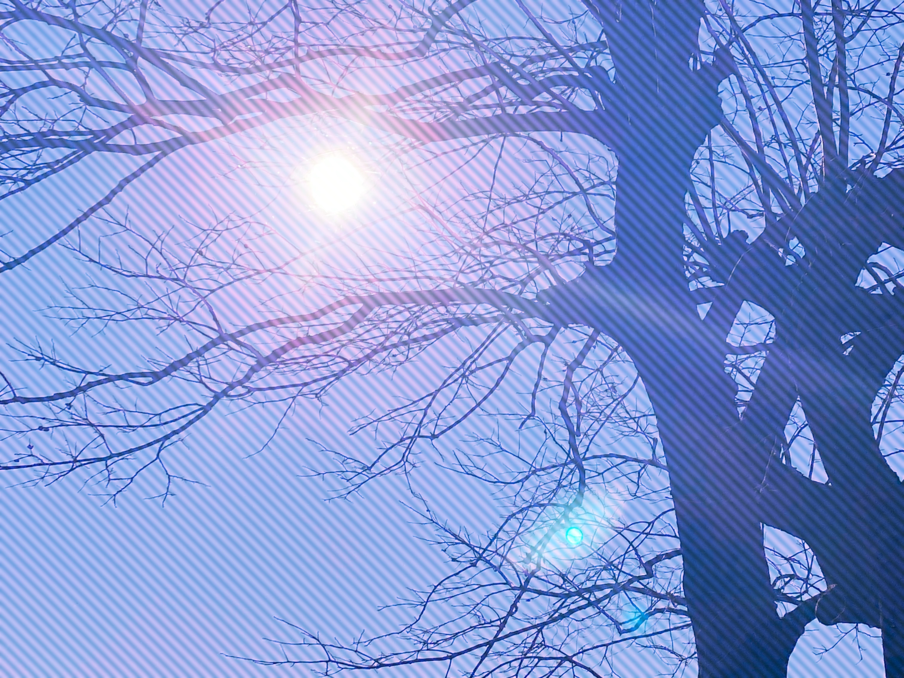 眩い光 - mitsuki - BOOTH