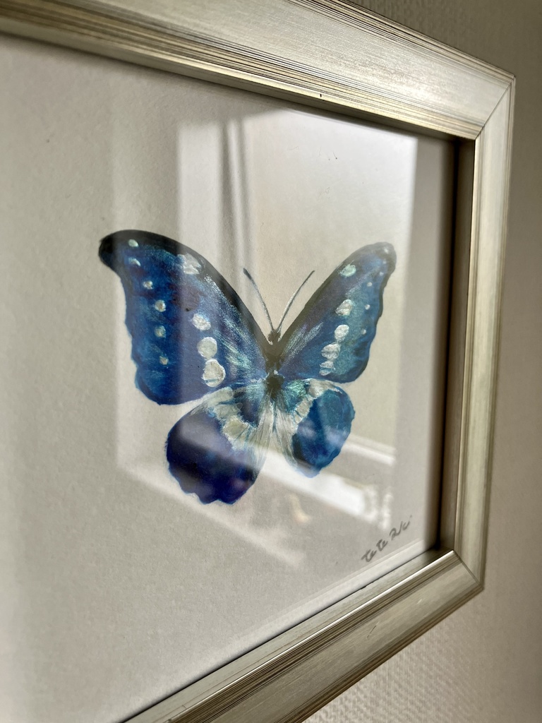 morpho helena - ててあき - BOOTH