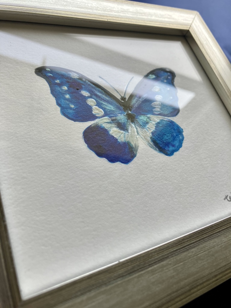 morpho helena - ててあき - BOOTH