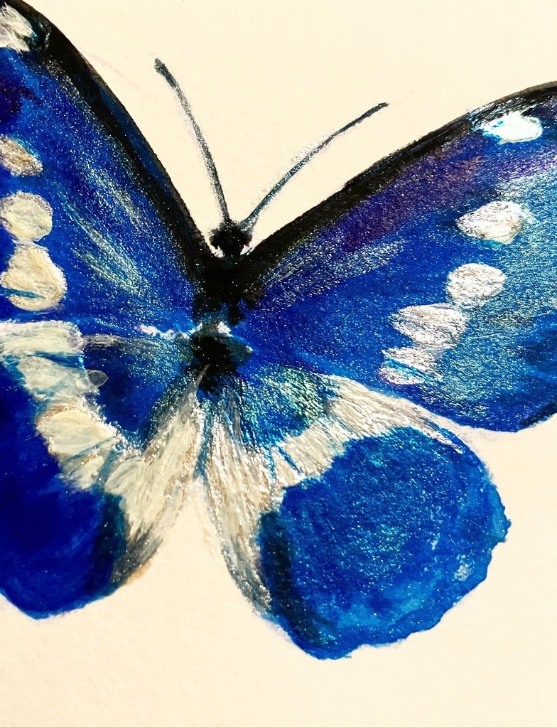 morpho helena - ててあき - BOOTH