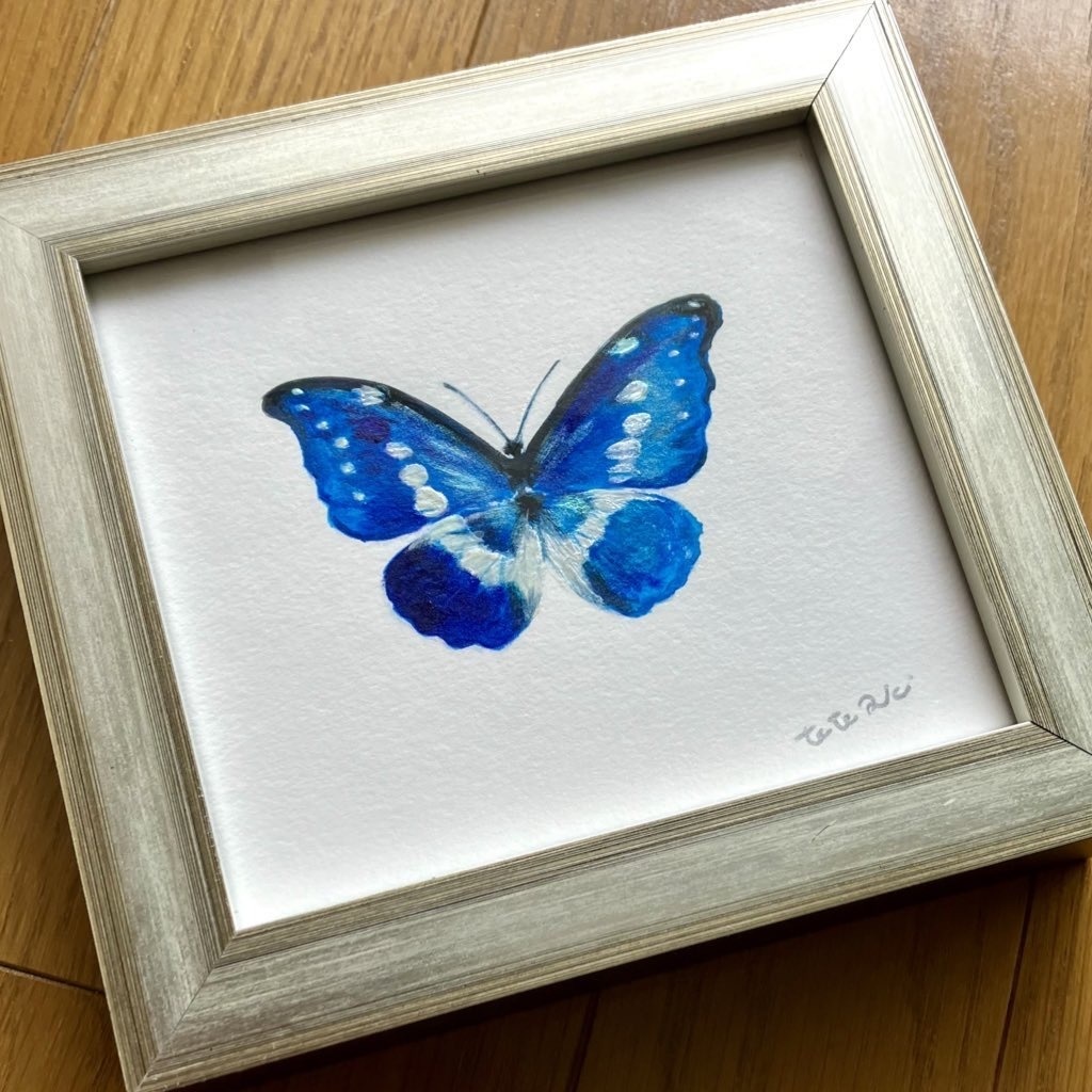 morpho helena - ててあき - BOOTH