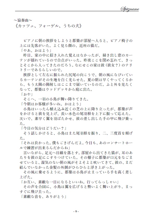 Spitzname（シュピッツナーメ） - Spiegel-reflex - BOOTH