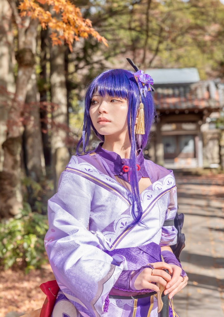 【C105写真集】DL版 原神/雷伝将軍写真集 - 花守のアトリエ - BOOTH