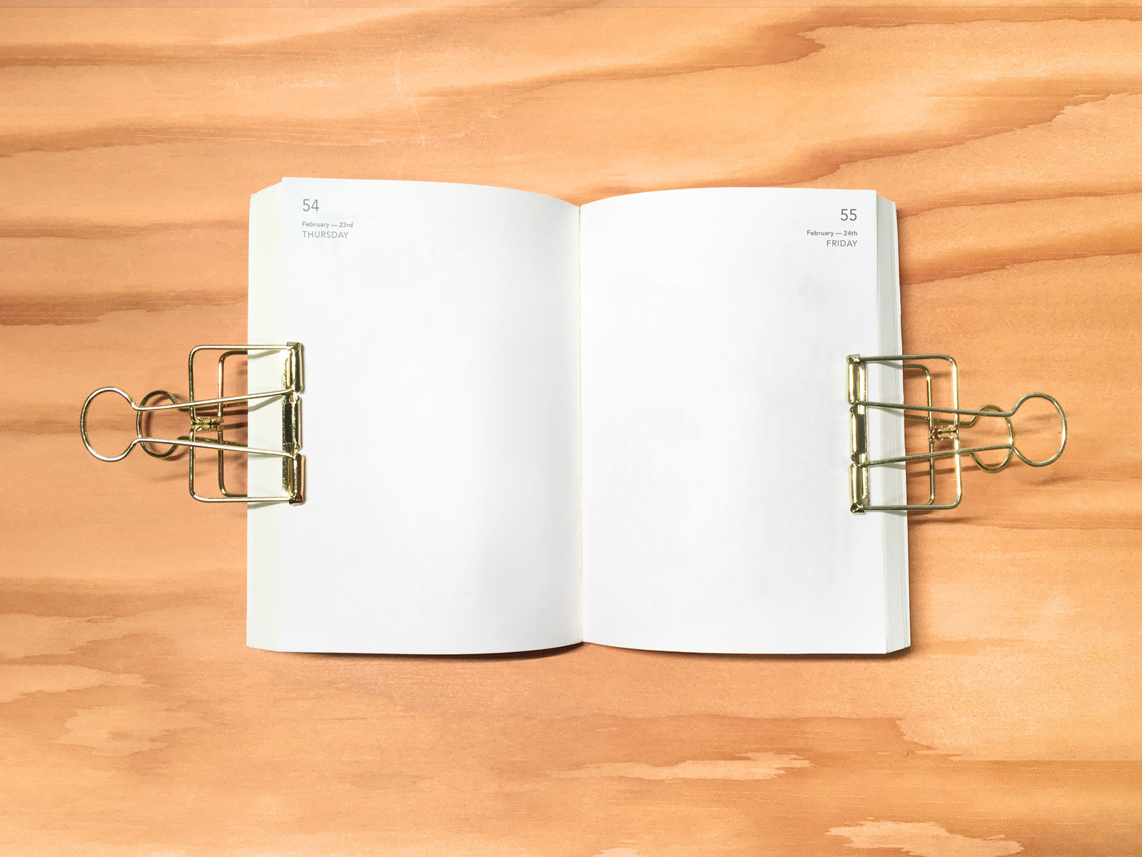 muji diary - 2023 - マルラボ - BOOTH