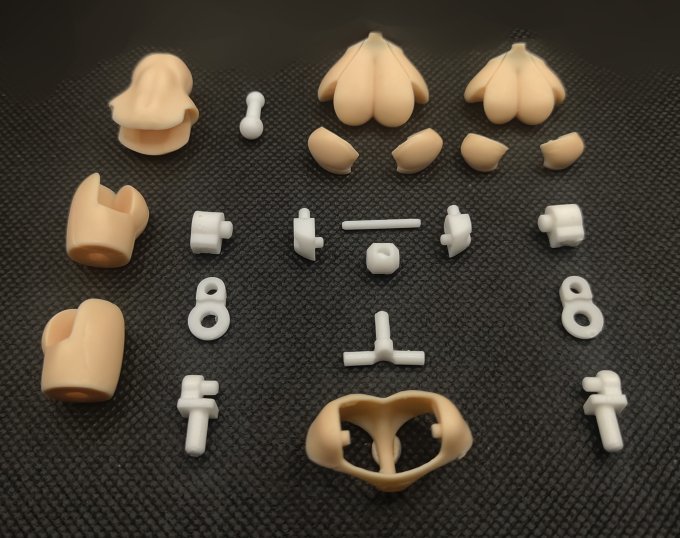 （X9）「XP肉改」肉付き良いタイプ・メガミデバイス・スサノオ - ECHO Studio - BOOTH