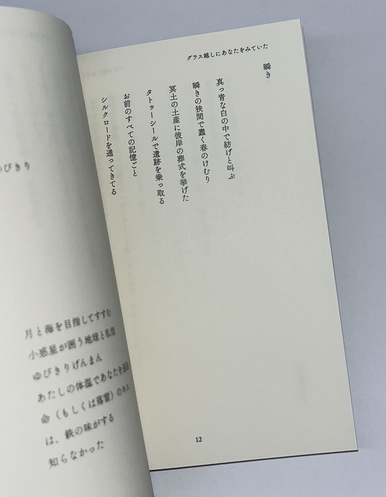 【特装版】グラス越しにあなたをみていた - yu - BOOTH