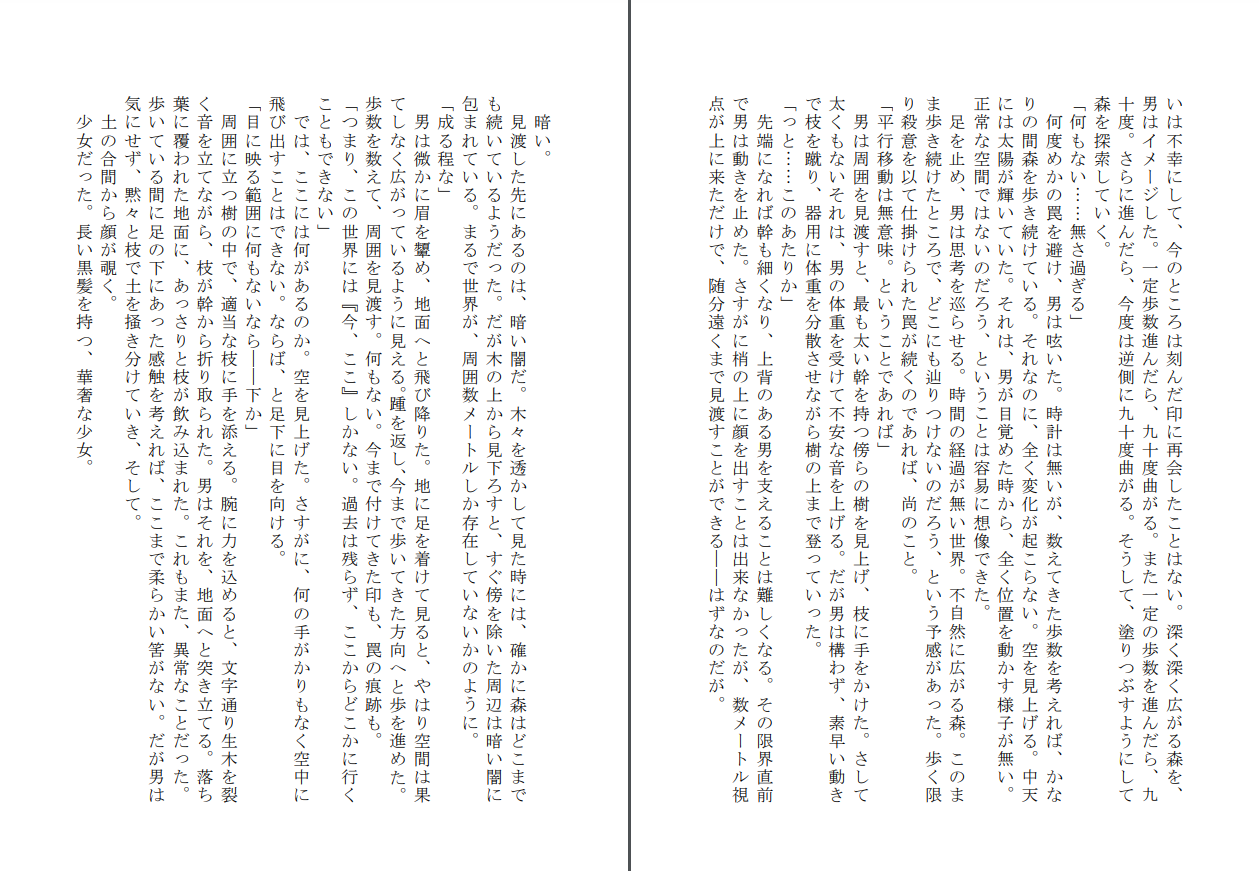 HIDE and SEEK / JEKYLL and HYDE - keystrage - BOOTH