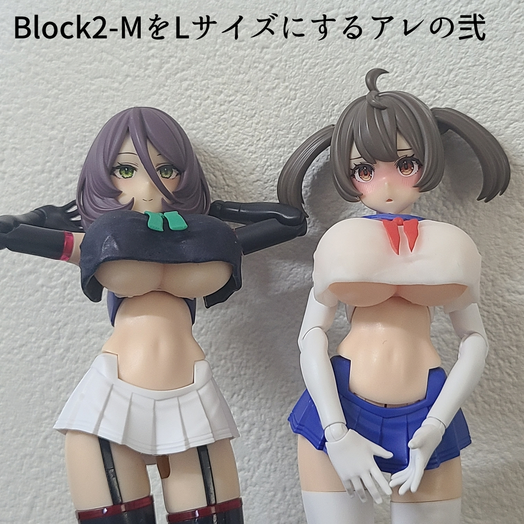 Block2-MをLサイズにする再販＋α - メガミのミツギモノ - BOOTH
