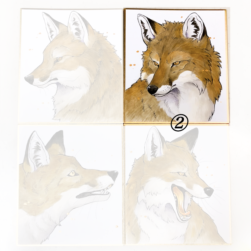 FOX 直筆原画 ミニ色紙 - HAKOBUNE - BOOTH