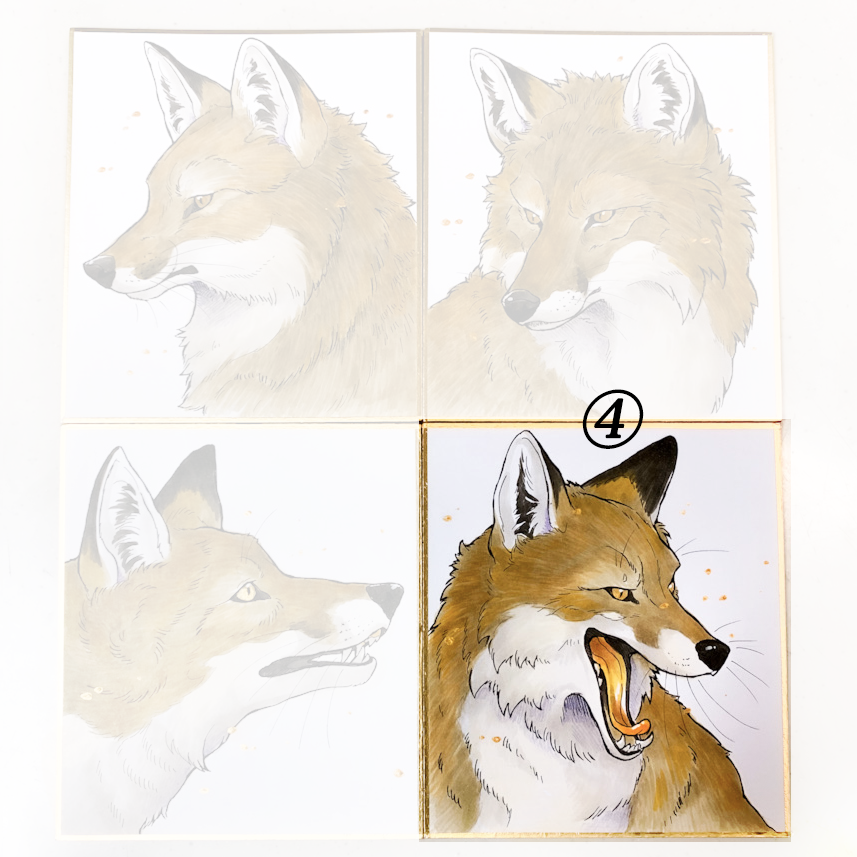 FOX 直筆原画 ミニ色紙 - HAKOBUNE - BOOTH