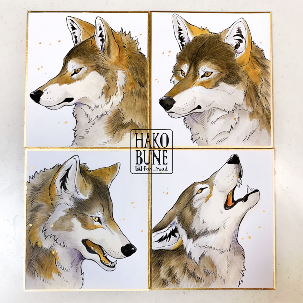 WOLF 直筆原画 ミニ色紙 - HAKOBUNE - BOOTH