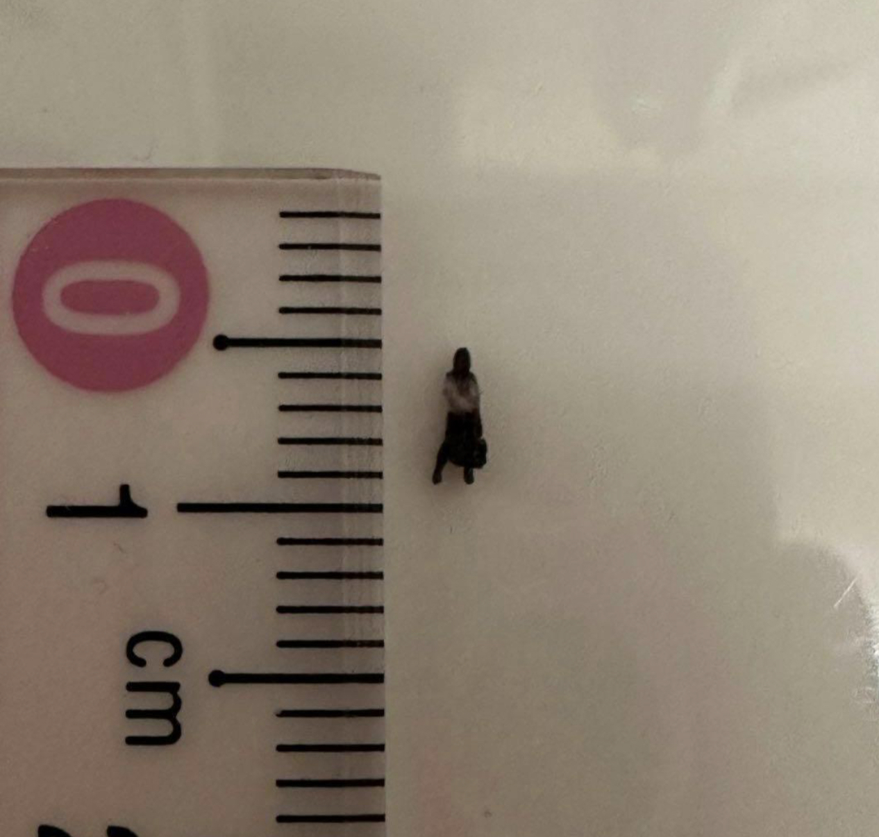 完成品 1/400 JKN 女子高生 フィギュア リアルフィギュア ジオラマに ミニカーに ミニチュア 3Dフィギュア ミニチュアイメージ - ミニチュアイメージ - BOOTH