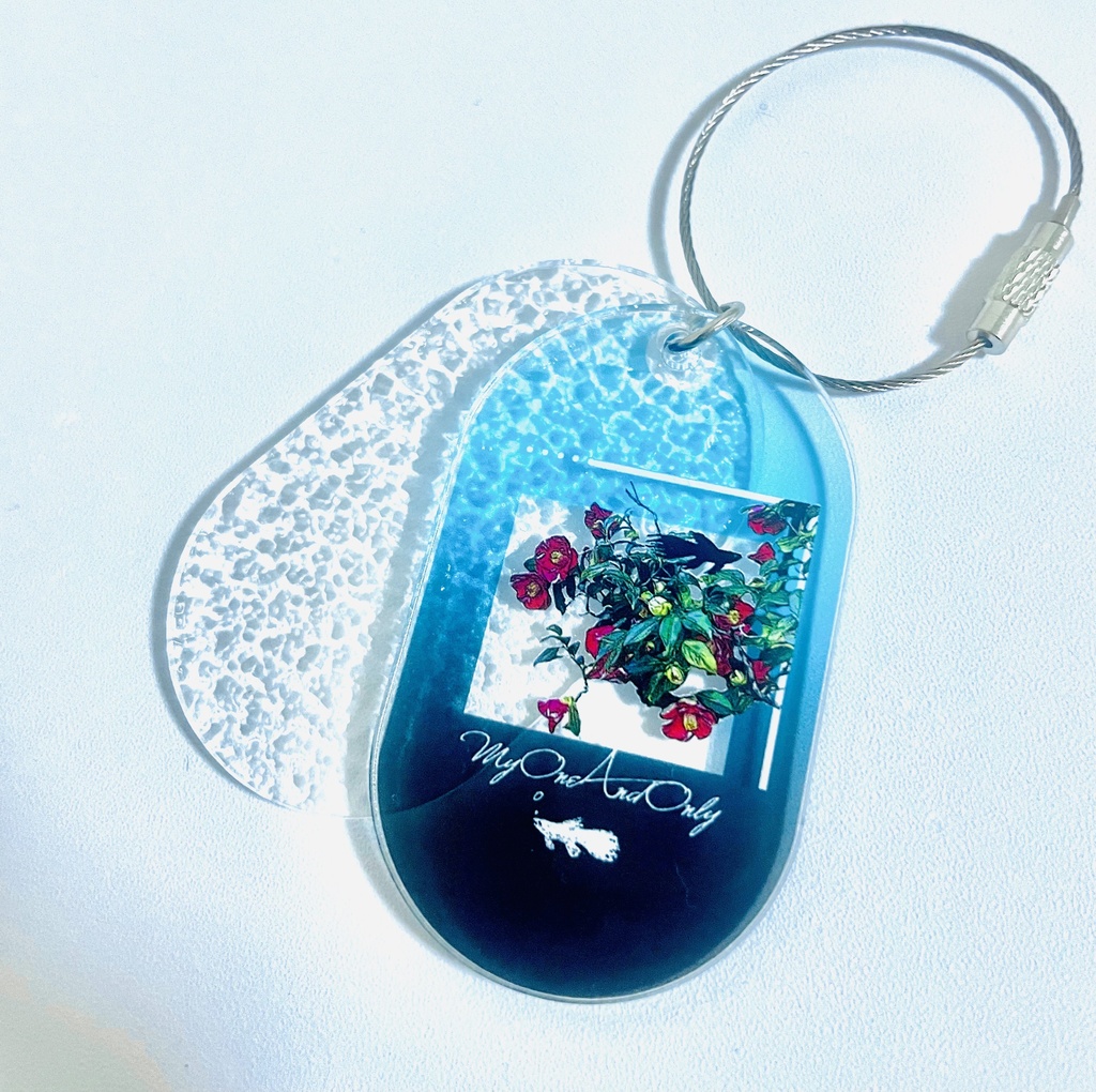 R.I.P.アクキー(夏五) - WOMU SHOP - BOOTH