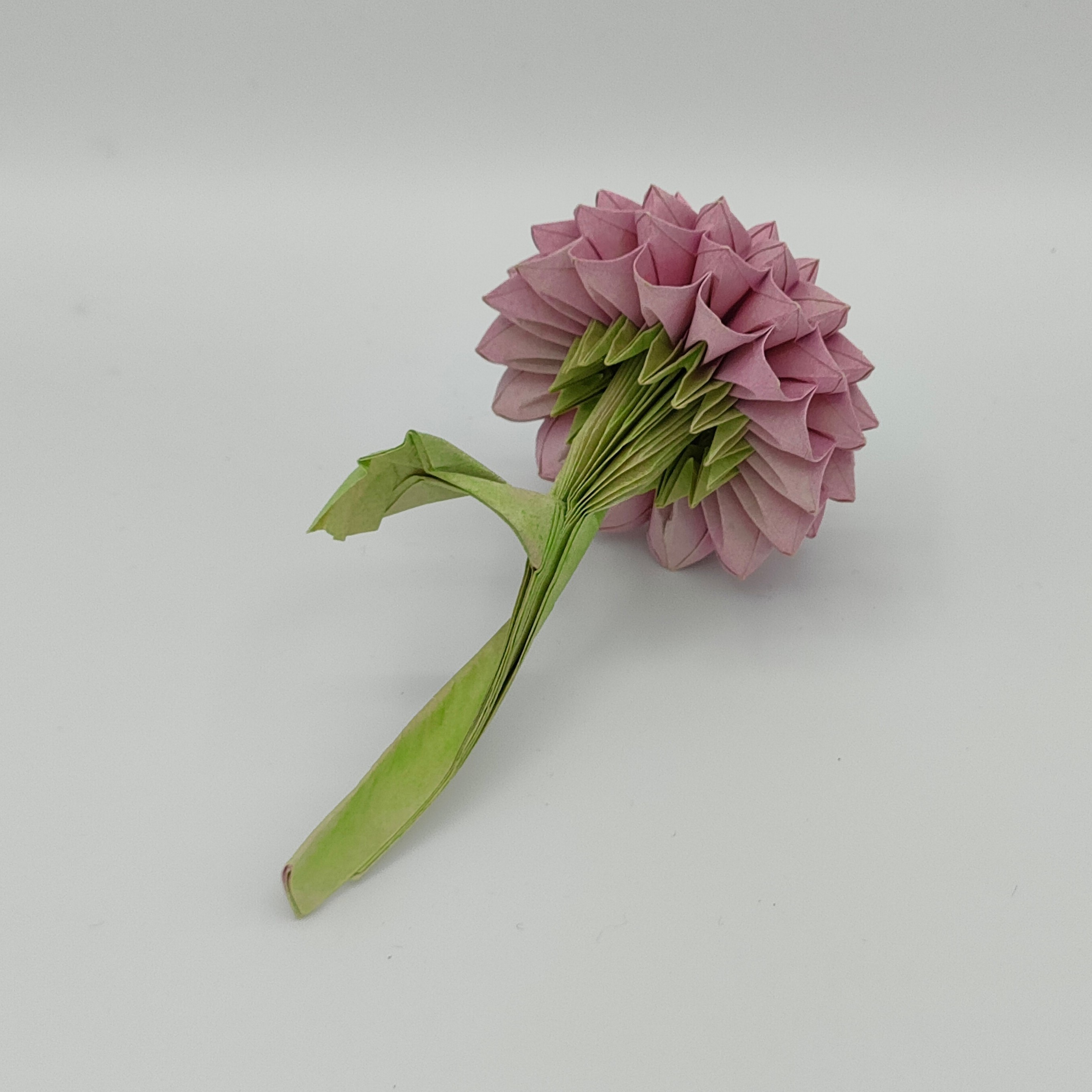 【折り図】ダリア一輪 - ori-sato - BOOTH