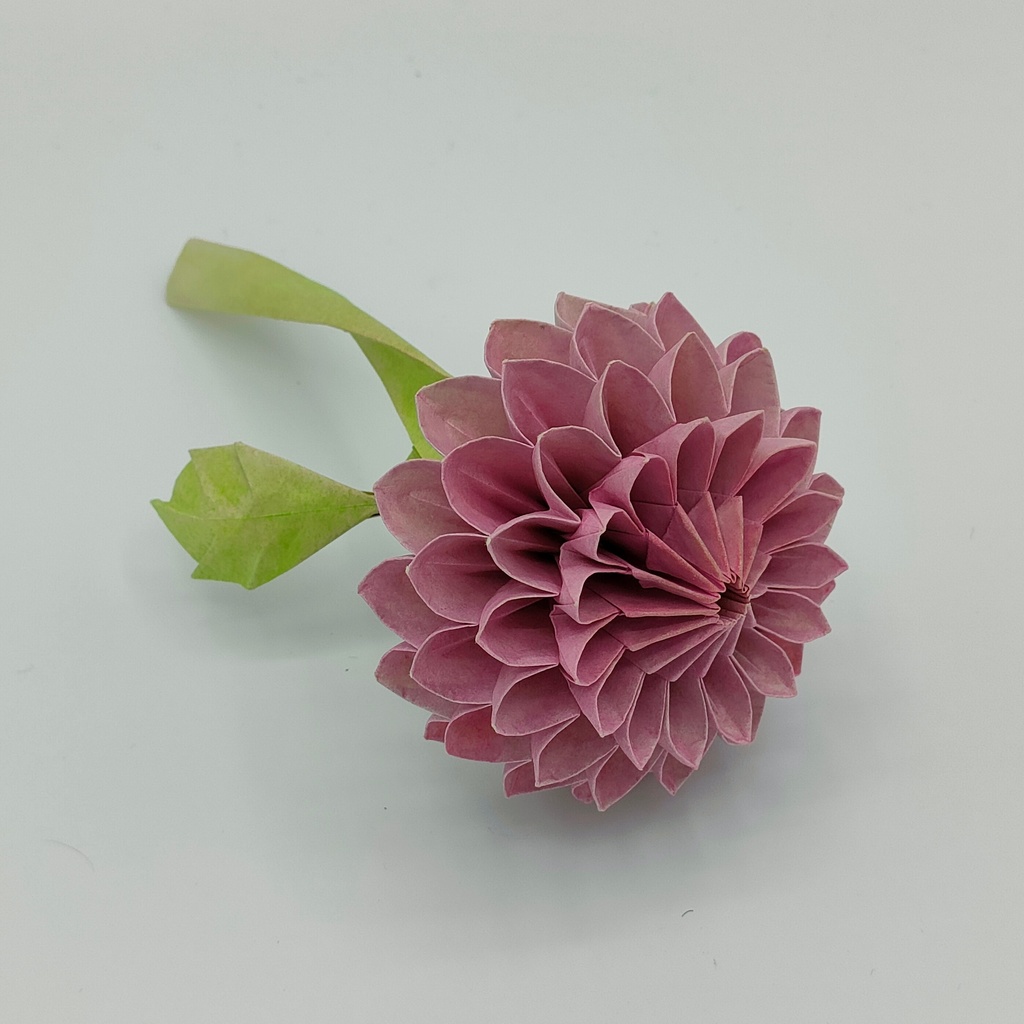 【折り図】ダリア一輪 - ori-sato - BOOTH