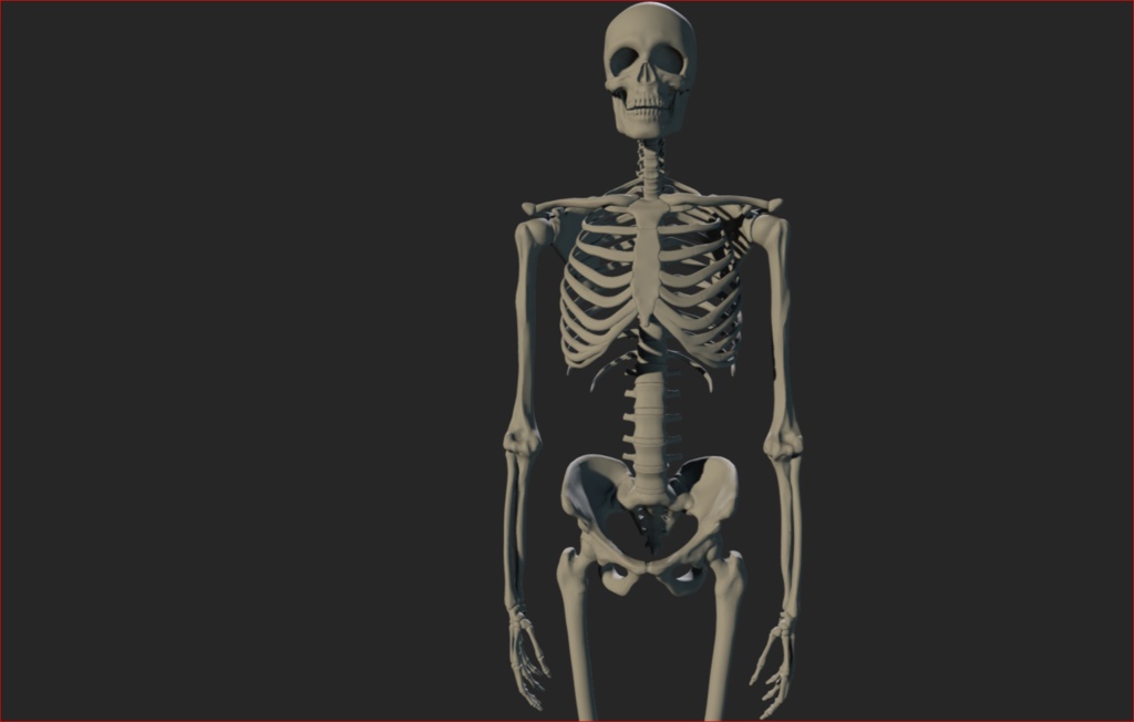 Skeleton 3D Clothing 3D Model VRChat スケルトン 3D 衣類 3D モデル VRChat - 衣装 rVRC